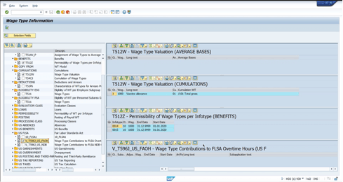 SAP SuccessFactors launches a new Wage-Type Report for US and Canada