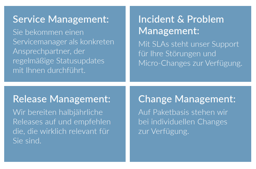 SAP Application Management Services (SAP AMS) – Effizient. Sicher.