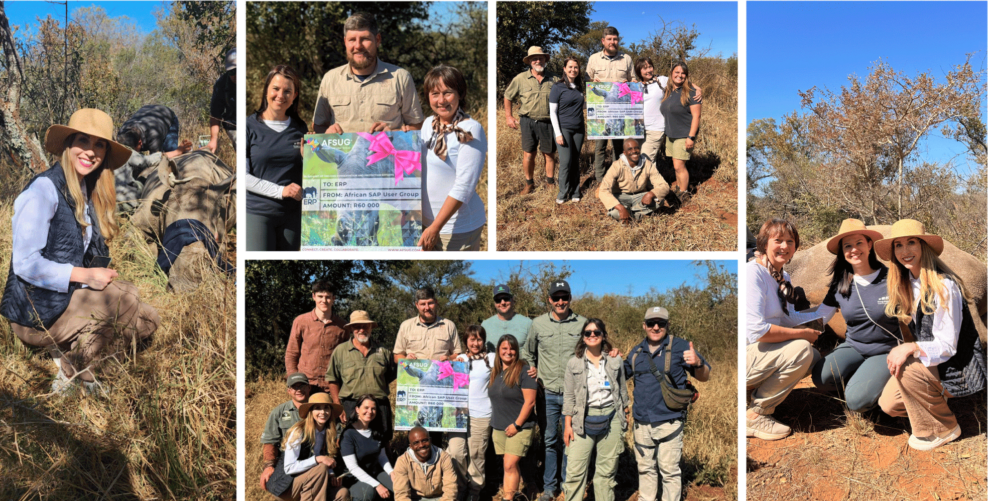 Black rhino conservation in Namibia: A safe haven for an endangered species