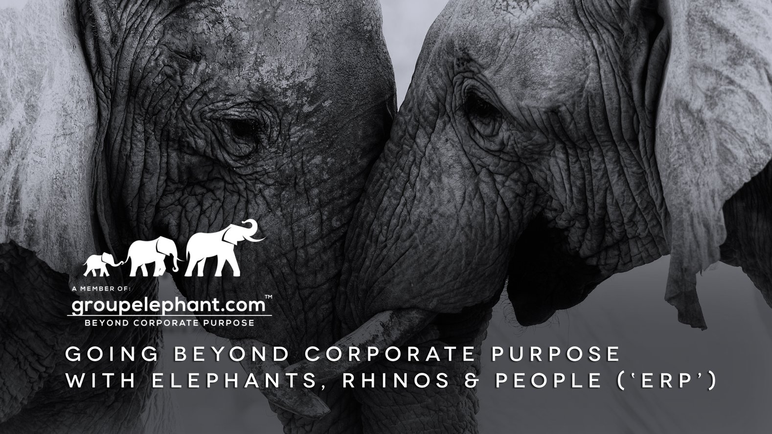 About us: EPI-USE Labs