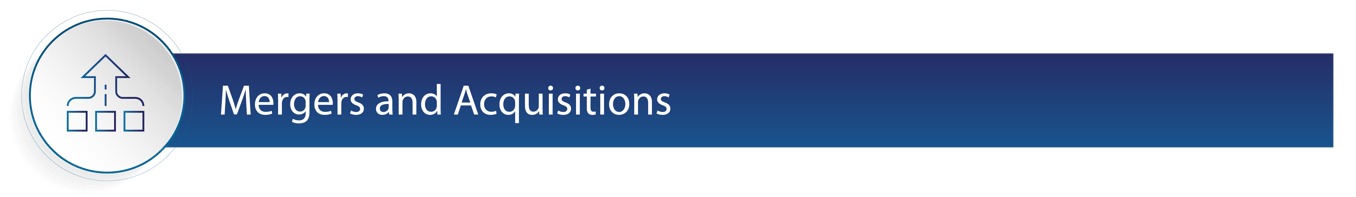 Effective SAP test data management: feeding the lifecyle with quality ...