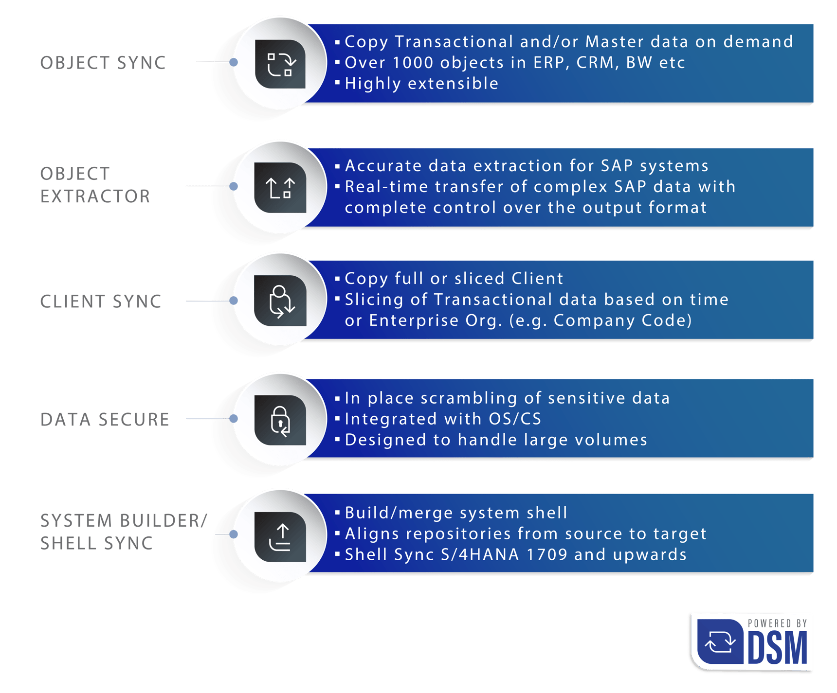 Effective SAP test data management: feeding the lifecyle with quality ...