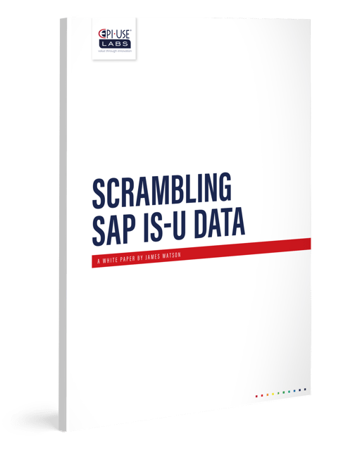 Scrambling SAP IS-U data: Download Utilities white paper