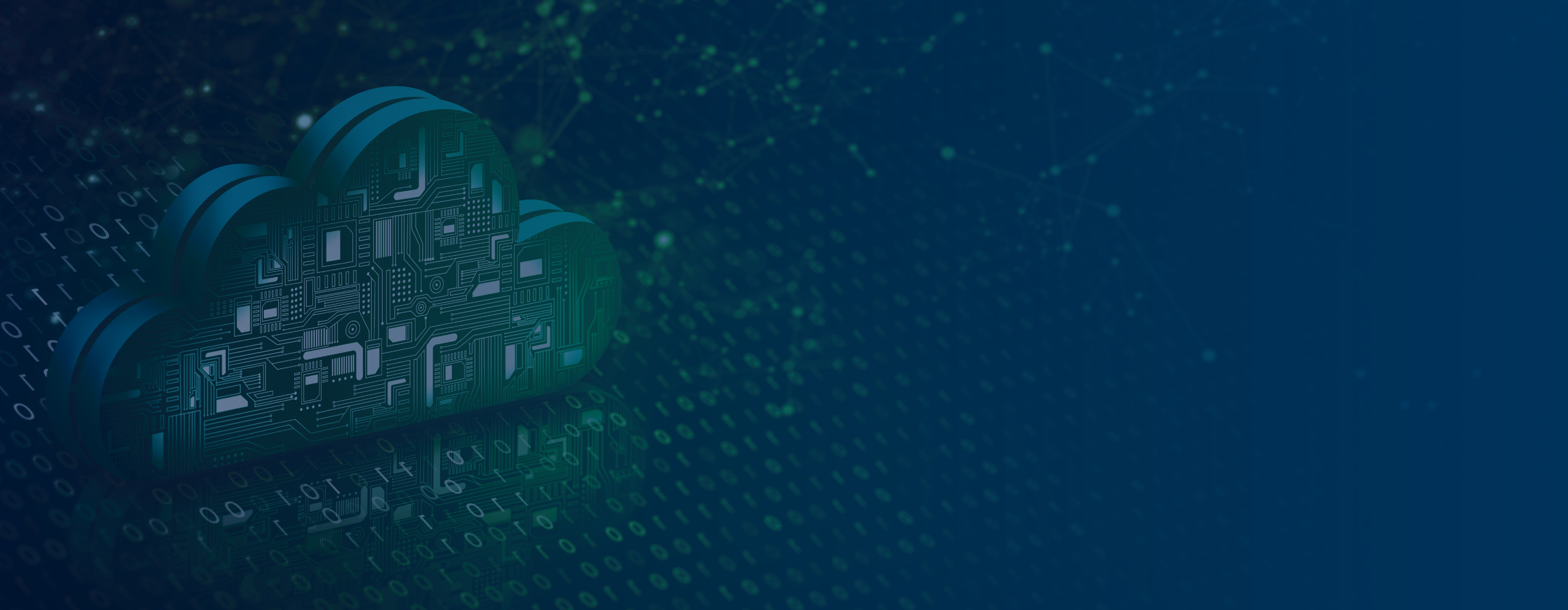 EPI-USE Security Services