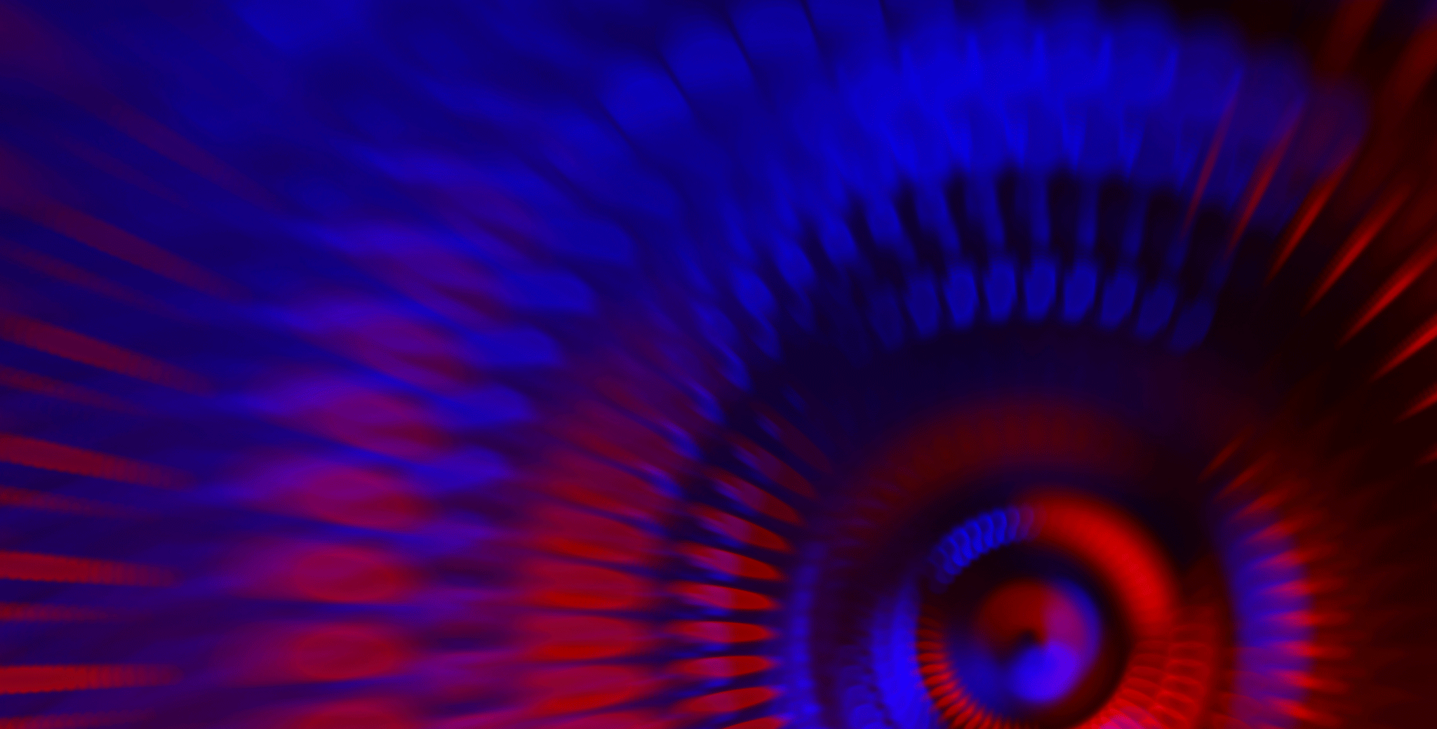 Five reporting options for HCM customers in SAP SuccessFactors