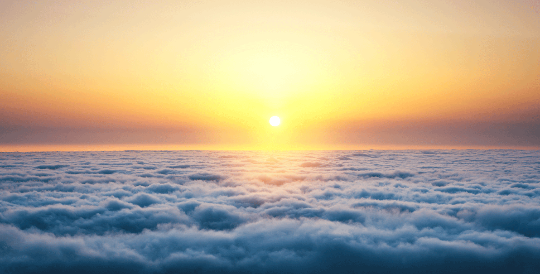 Sunsetting SAP data: a new dawn with Archive Central