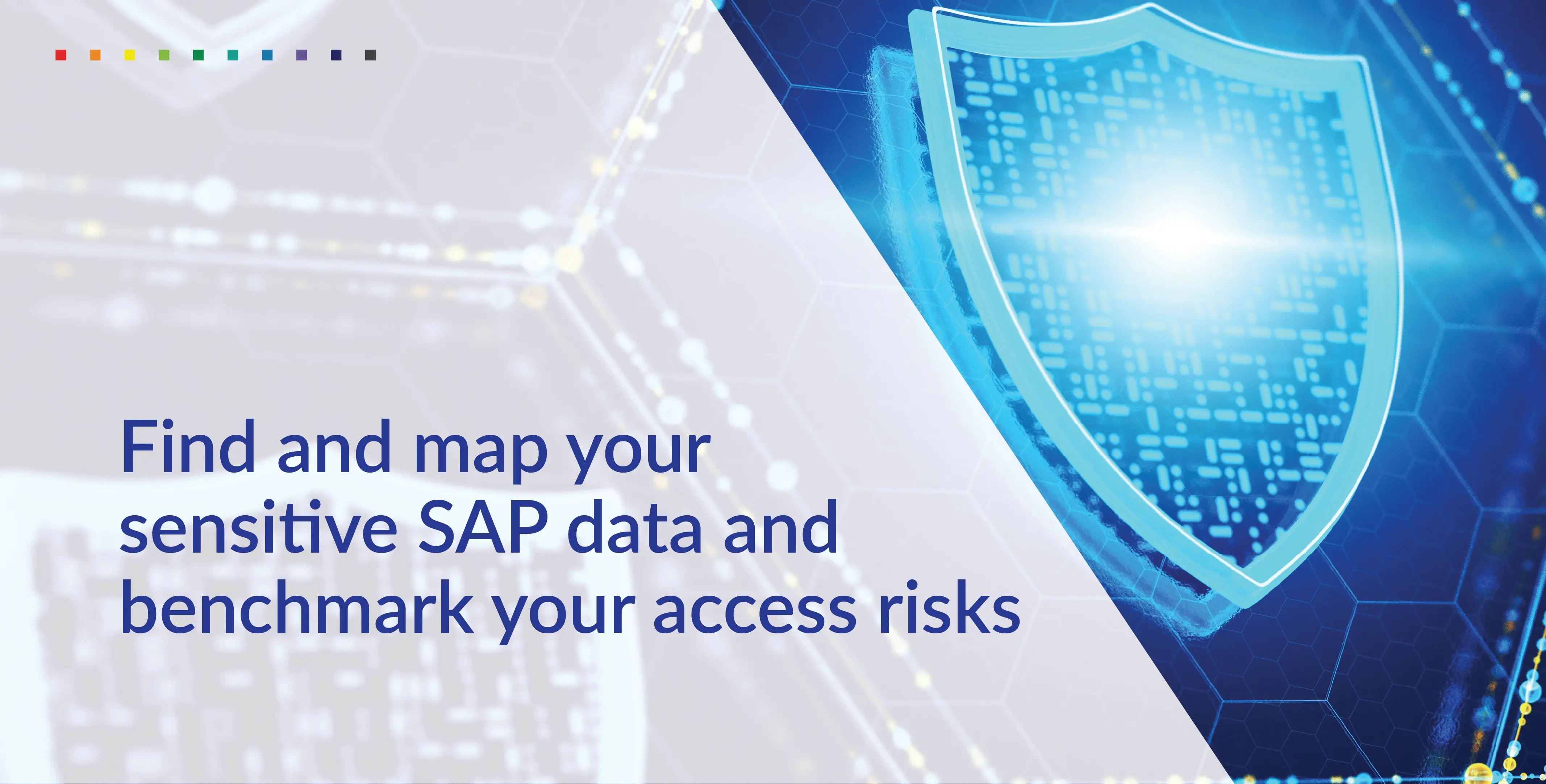 Service d'évaluation de la confidentialité des données SAP
