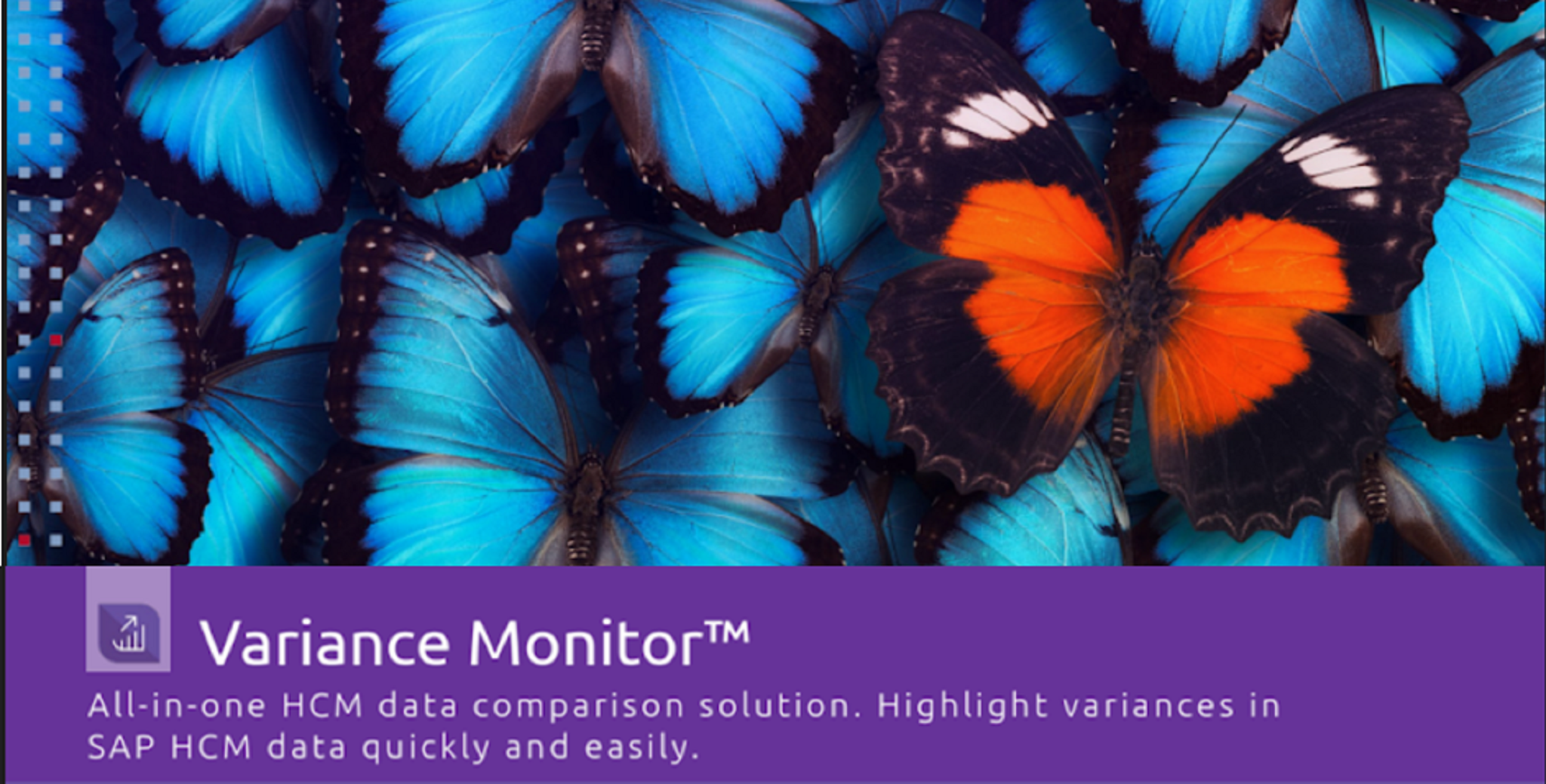 EPI-USE Labs Variance Monitor™ for comparing SAP HCM data