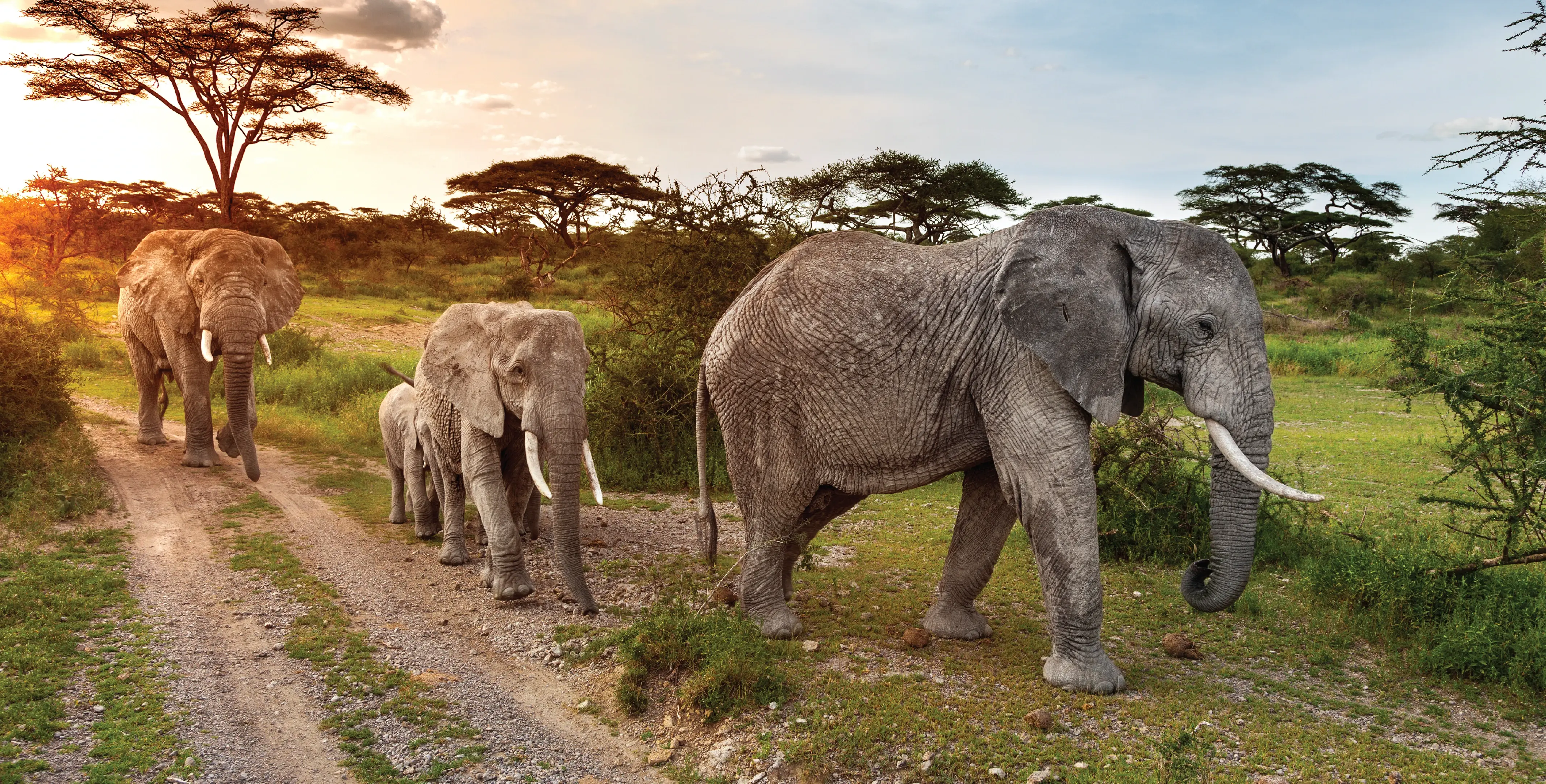 SAP Connect 2025 | Modernize HR and Payroll Solutions | EPI-USE