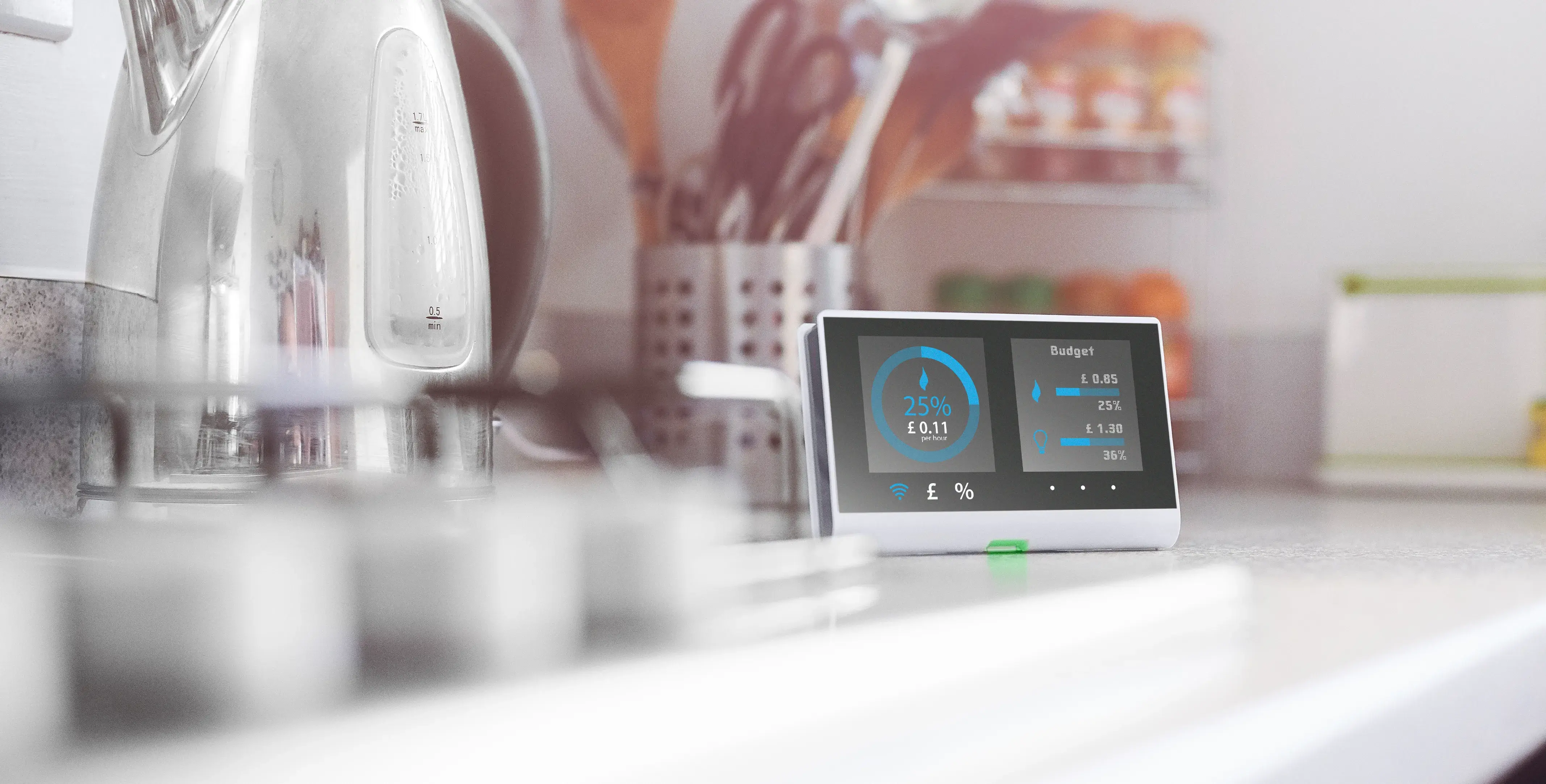 SAP IS-U Data Model Success Story - Energy Retailer